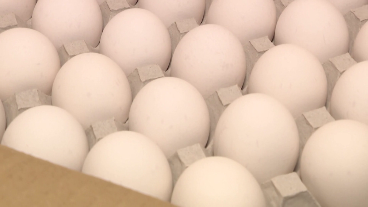 卵が価格高騰の可能性も!? “鳥インフルエンザ再来”に警戒、養鶏 卵が価格高騰の可能性も!? “鳥インフルエンザ再来”に警戒、養鶏