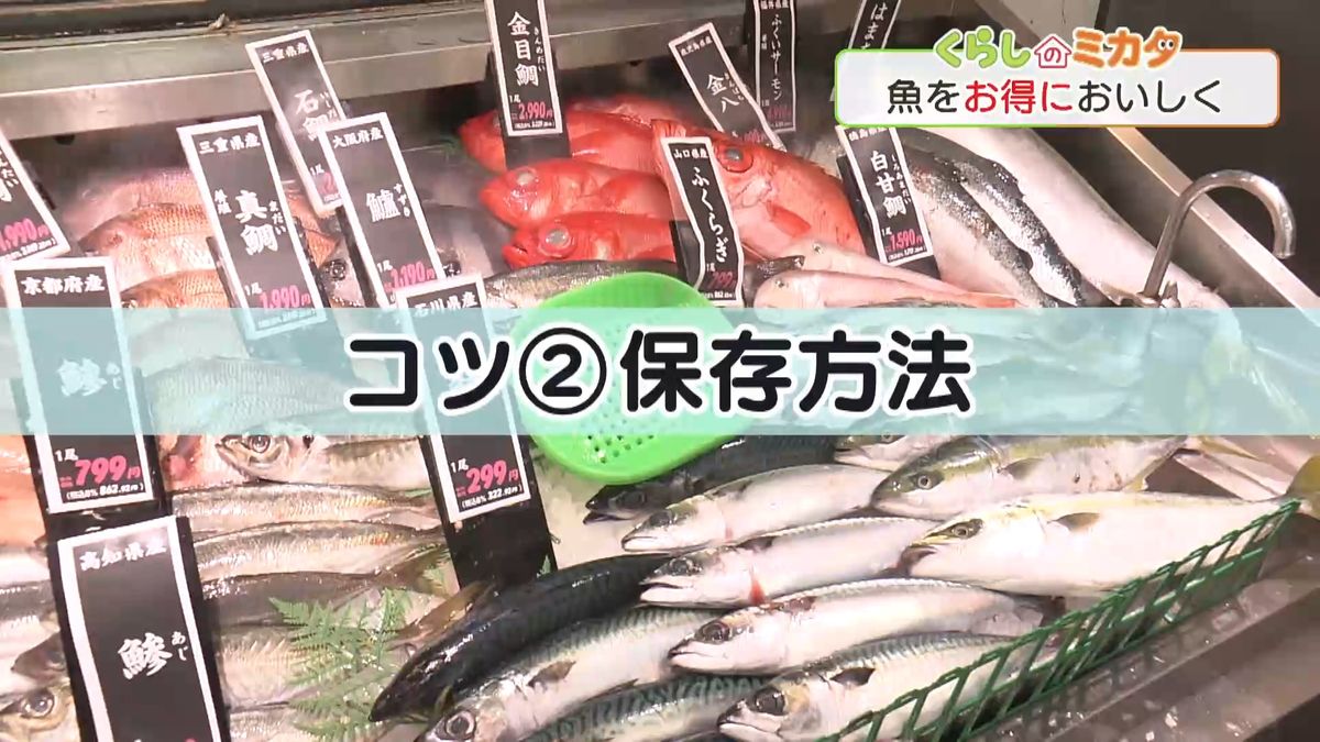 2ページ目 魚は一匹買いでお得に プロが教える上手な"切り方"と"保存方法" 家庭でもできる"ひと手間" イカやタコはもはや高級魚（2025年4月22日掲載）｜FBC NEWS NNN