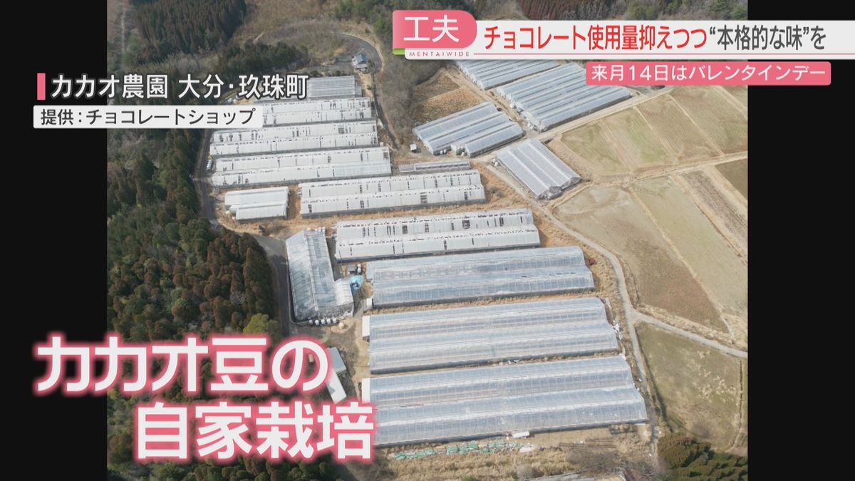 2ページ目 【バレンタイン商戦】カカオショックで原料が高騰 アイデア商品・カカオ豆の栽培も 自分へのご褒美の予算は 福岡（2026年1月22日 ...