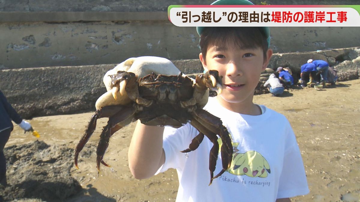【密着】カニ・貝・エビ 干潟の生き物 500メートルだけの「引っ越し」 福岡（2026年6月1日掲載）｜FBS NEWS NNN
