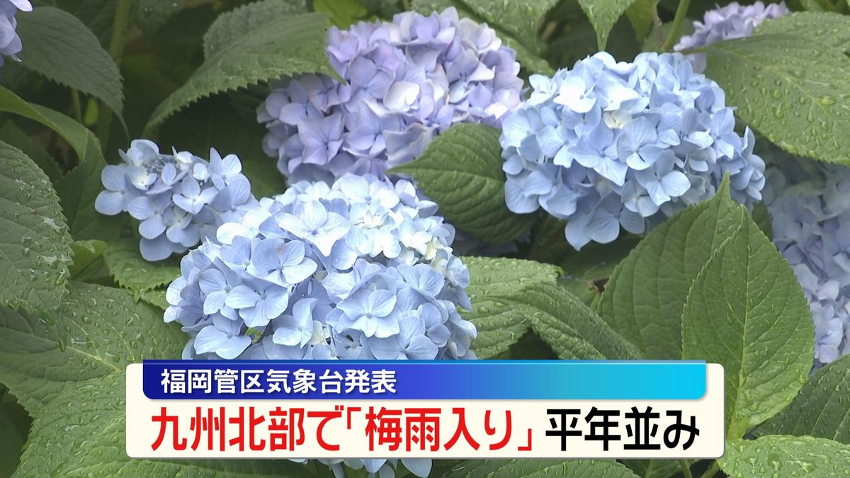 【速報】九州北部が梅雨入り 平年並み 去年より19日遅く（2026年6月4日掲載）｜FBS NEWS NNN