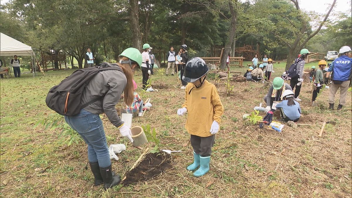 秋吉台にクヌギの木100本を親子で植樹「SDGs体験教室」（2025年9月20日掲載）｜KRY NEWS NNN