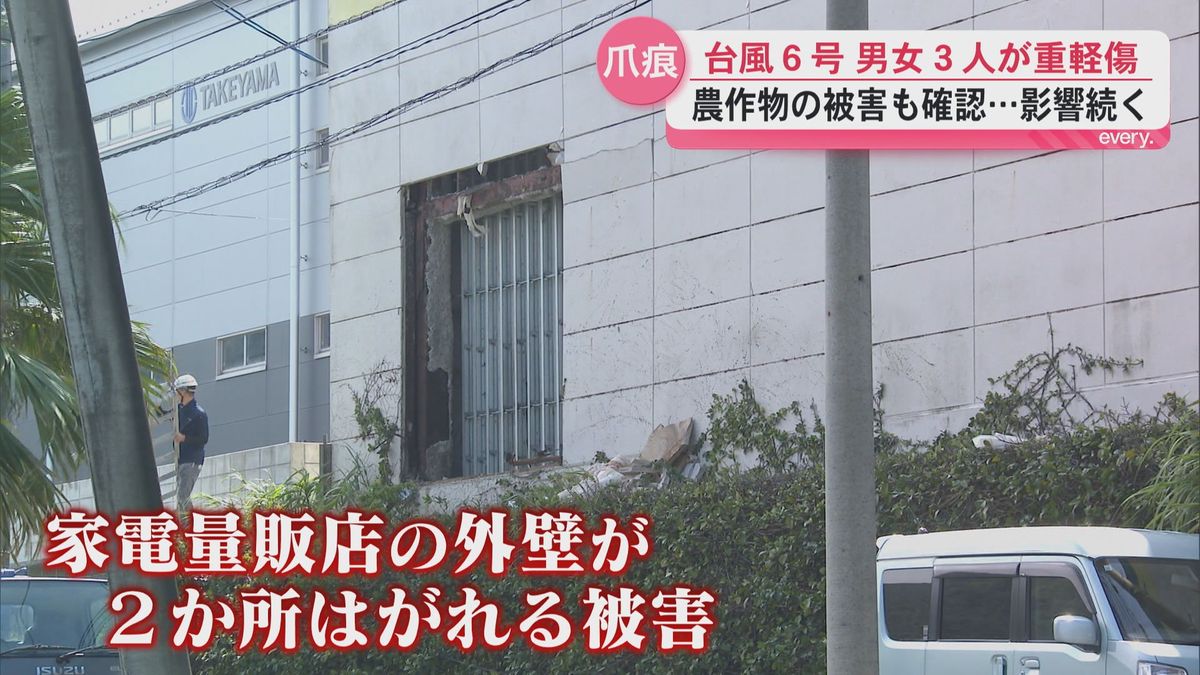 【台風6号】県本土接近から一夜 JR在来線は始発から運行見合わせ 農作物への被害も明らかに…（2026年6月3日掲載）｜KYT NEWS NNN