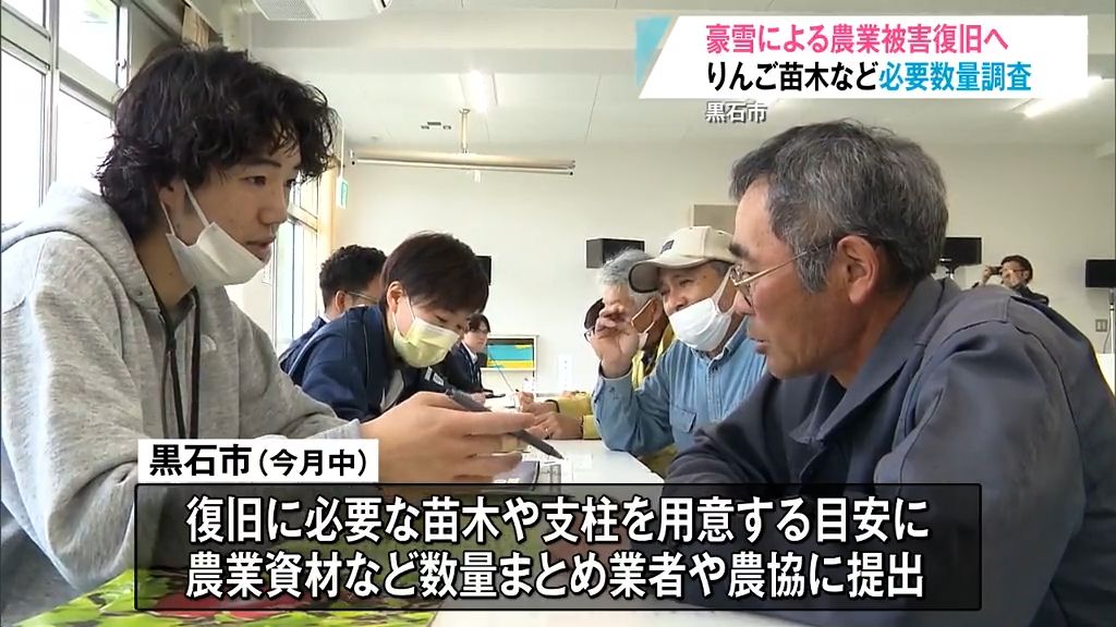 「農家の心のケアも…」7割以上のりんご園が“豪雪被害”の黒石市で復旧資材の調査始まる 被害額は過去最大（2025年5月12日掲載）｜青森放送 ...