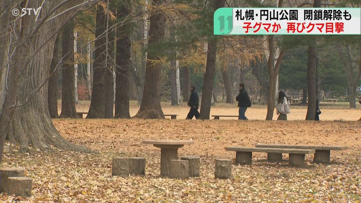 円山公園に再び…子グマ目撃「今ごろおかしいですよね」公園閉鎖が解除されたばかり 札幌市（2025年11月26日掲載）｜STV NEWS NNN