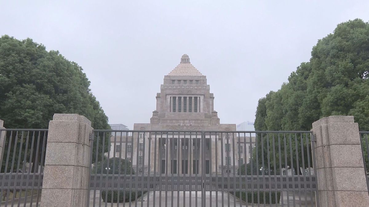 2ページ目 3議席をめぐり候補者乱立の北海道選挙区 各陣営の訴え 17日間の選挙戦幕開け（2025年7月3日掲載）｜STV NEWS NNN