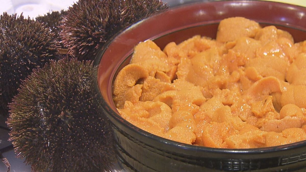 2ページ目 【異変】どんぶり一杯2万円以上 ウニが記録的不漁で高騰 海水温上昇“磯焼け”が深刻化 北海道（2025年8月10日掲載）｜STV NEWS NNN