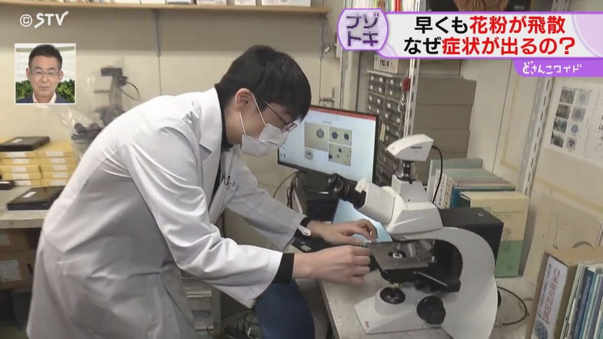 2ページ目 「花粉症」の季節到来… 北海道で症状を引き起こす花粉は5種類 アレルギーの原因は“タンパク質”にあり（2025年3月29日掲載）｜STV NEWS NNN