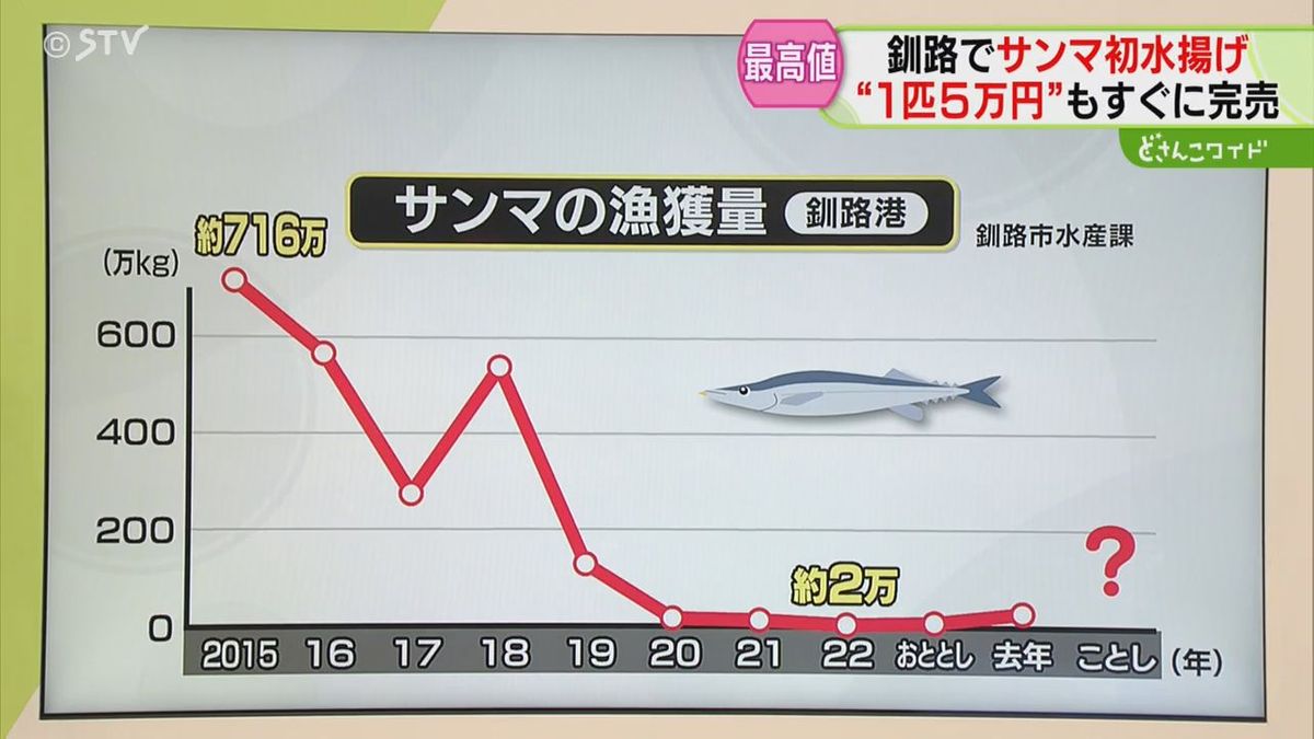 “1匹5万円”も即完売 サンマ今季初水揚げ 不漁続き3年ぶりに漁再開 豊漁の兆しは？釧路市（2025年7月10日掲載）｜STV NEWS NNN