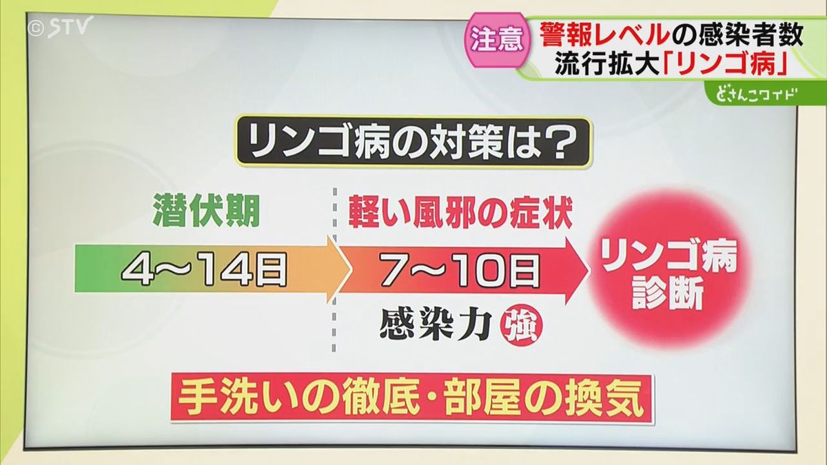 流行拡大「リンゴ病」2015年以来の警報レベル 長い潜伏期間…夏ごろまで続く恐れ 北海道（2025年5月13日掲載）｜STV NEWS NNN