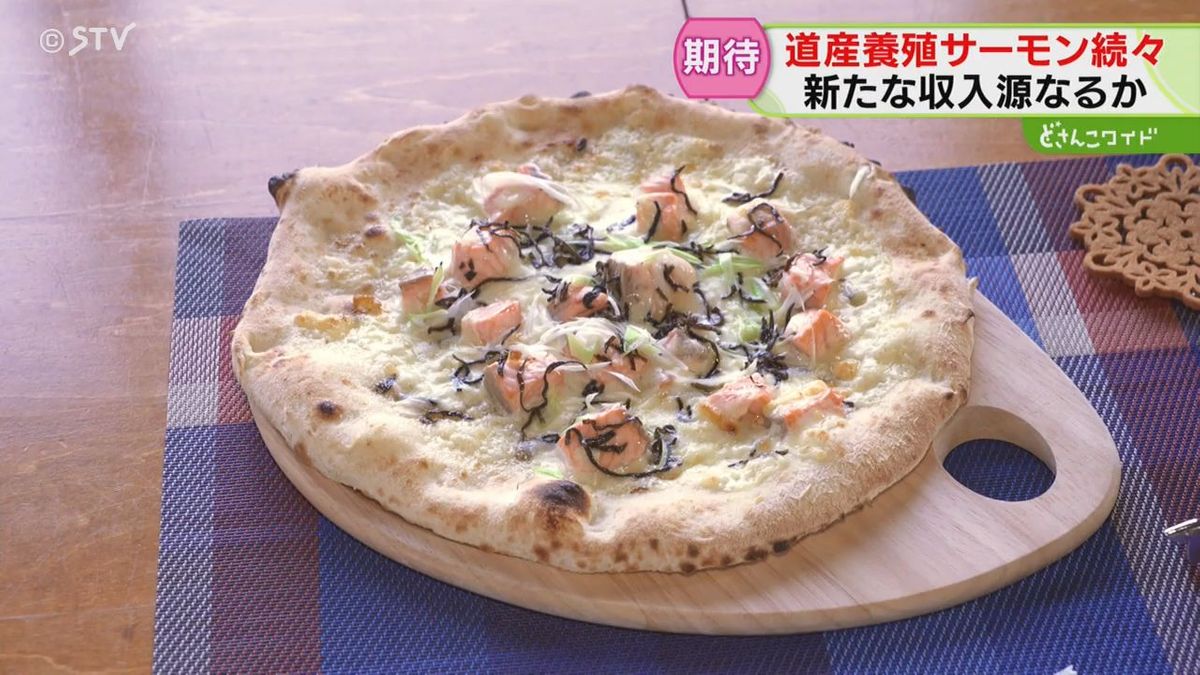 新たな名物に！養殖サーモンに期待 グルメが続々登場 天然資源の漁獲量減少で開発進む 北海道（2025年7月4日掲載）｜STV NEWS NNN