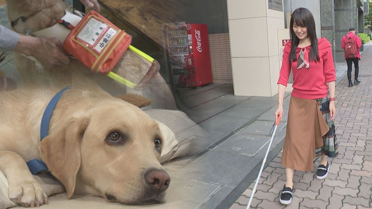 3ページ目 命を守る“盲導犬”が不足 課題は資金確保「9割が募金」育成から引退後まで…必要な支援は？（2025年8月31日掲載）｜STV NEWS NNN