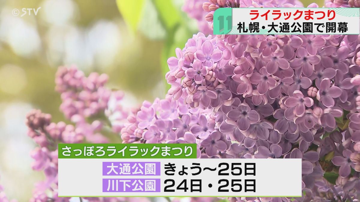 “さっぽろライラックまつり”開幕 ことしで67回目 恒例「苗木プレゼント」に行列も 北海道（2025年5月14日掲載）｜STV NEWS NNN