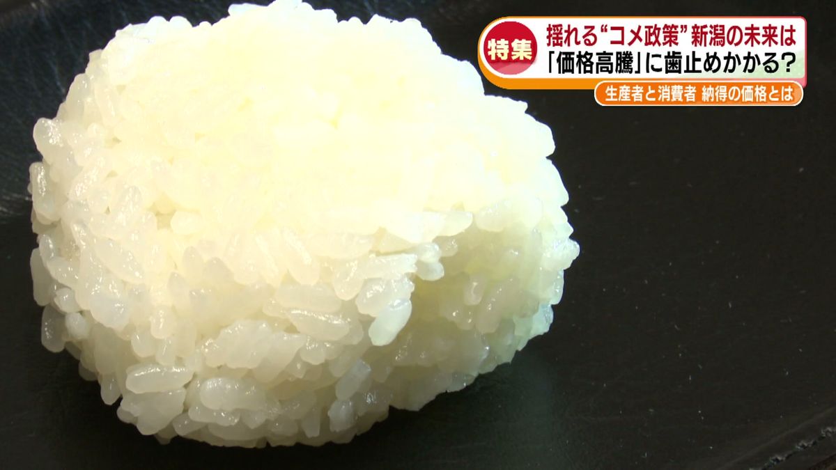 【特集】揺れる「コメ政策」 新潟の未来は 元日本テレビ解説委員の近野宏明さん解説《新潟》（2025年12月8日掲載）｜TeNY NEWS NNN