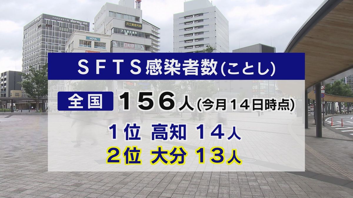 命を落とすケースも SFTS感染者数が過去最多「マダニはその辺にいる」予防法を専門家に聞く 大分（2025年9月25日掲載）｜TOS NEWS NNN