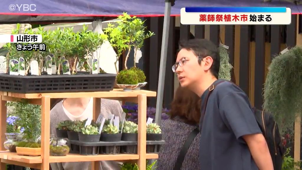 日本三大植木市の1つ「薬師祭植木市」が開幕、400年以上の伝統（2026年5月8日掲載）｜YBC NEWS NNN
