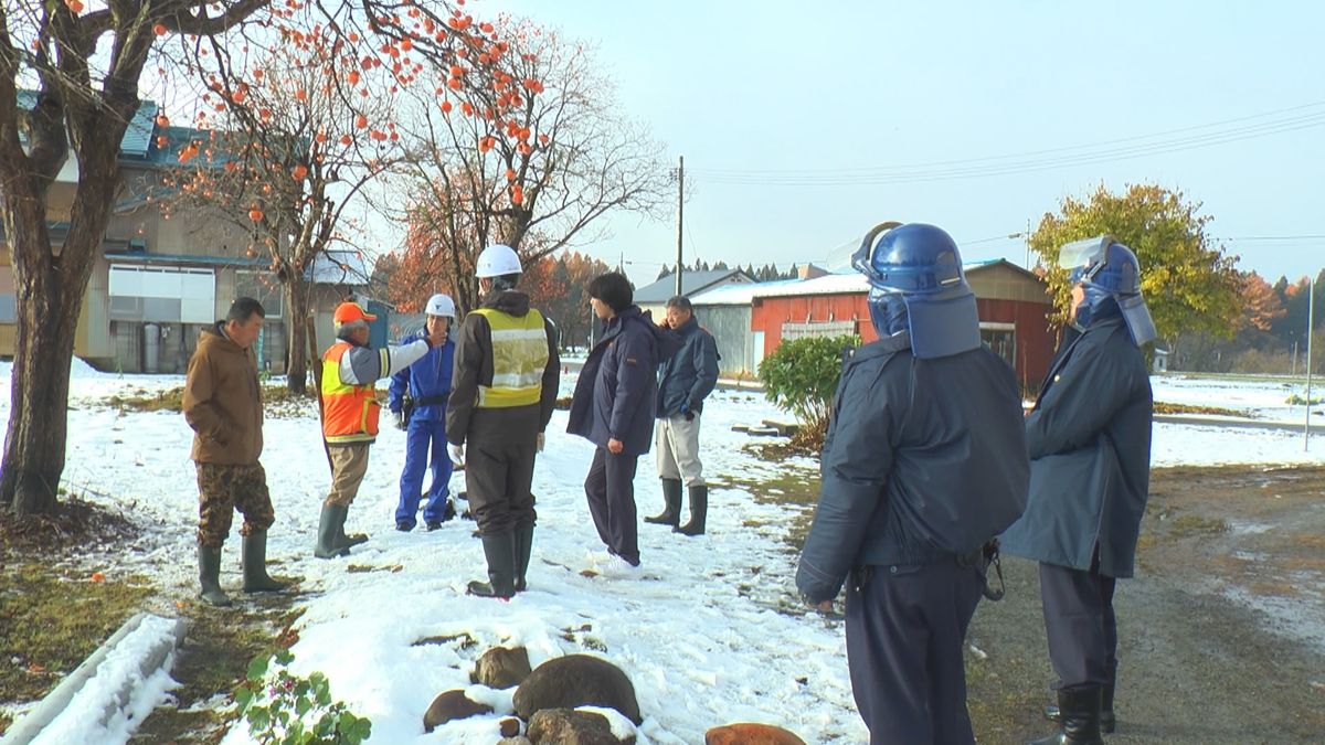 尾花沢市で柿の木から落ちてきたクマに襲われ女性が顔などにけが 寒河江市では緊急銃猟で2頭駆除（2025年11月20日掲載）｜YBC NEWS NNN