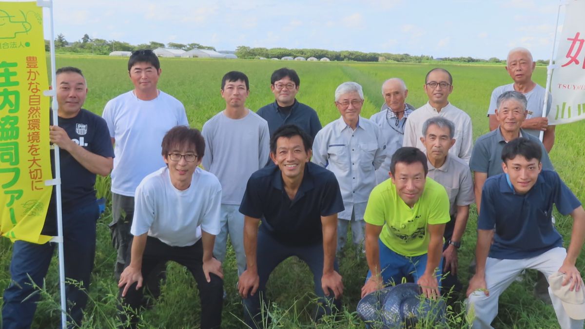 「大規模化に対する多様な考え方を共有」 鶴岡市の農業法人の取り組み 食の未来を考える（2025年11月19日掲載）｜YBC NEWS NNN