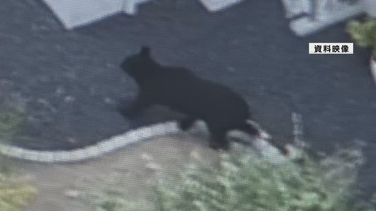 川のやぶ刈り払い 残る部分を11月中に実施へ 山形県がクマの緊急対策会議 県版のパッケージ示す（2025年11月17日掲載）｜YBC NEWS NNN