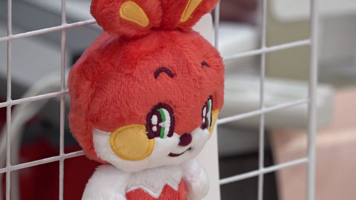 「ちょびーは癒やされます」ミニマスコットを先行販売 YBS公開生放送に歓声 山梨（2025年7月5日掲載）｜YBS NEWS NNN