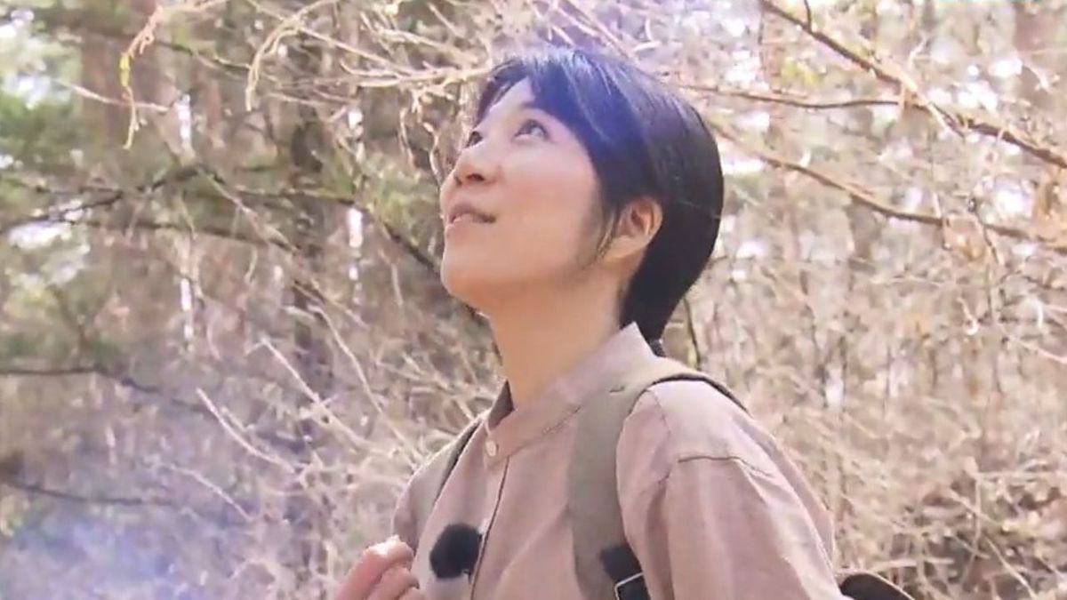 2ページ目 【特集】「食べる森林浴」はいかが？富士山麓で“森の恵み”をスイーツに パティシエが見つめる未来とは（2025年5月1日掲載）｜YBS NEWS NNN