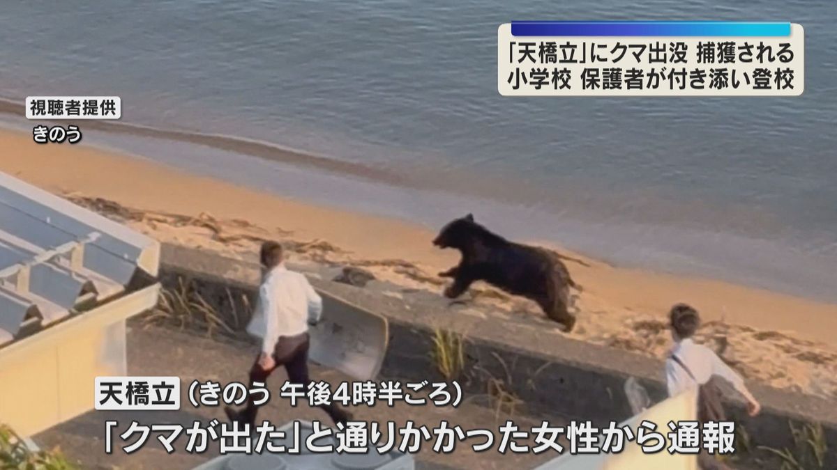 【動画】追い立てられて海岸を走り回る…「天橋立」にクマ出没 麻酔銃使い捕獲（2026年6月11日掲載）｜YTV NEWS NNN
