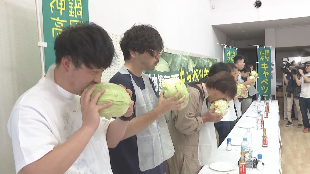 とれたてキャベツを丸かぶり「アオムシさんってこんな気分？」 恒例「キャベツまつり」兵庫・豊岡市 （2026年6月15日掲載）｜YTV NEWS NNN