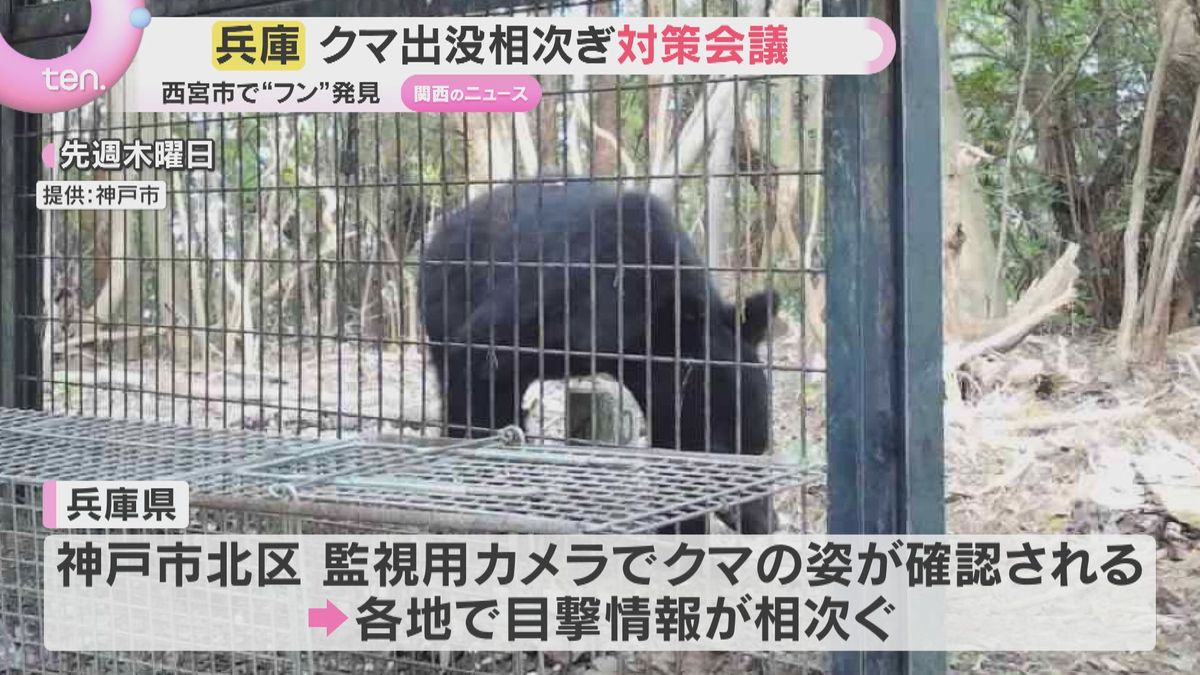 【クマ】出没・目撃相次ぐ兵庫県で対策会議 西宮市ではクマの“フン”と見られるもの見つかる（2026年6月15日掲載）｜YTV NEWS NNN