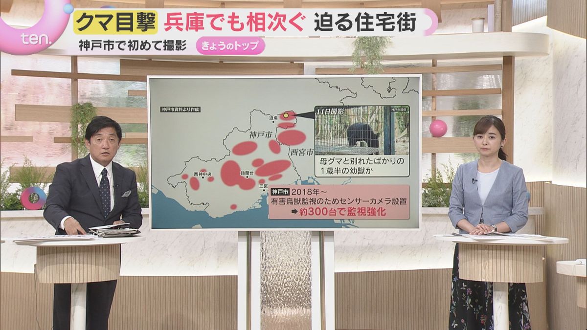 2ページ目 【クマ出没】神戸の山あいで初確認 西宮でも目撃 都市近郊の出没に警戒強化 住宅街での駆除に懸念も（2026年6月15日掲載 ...